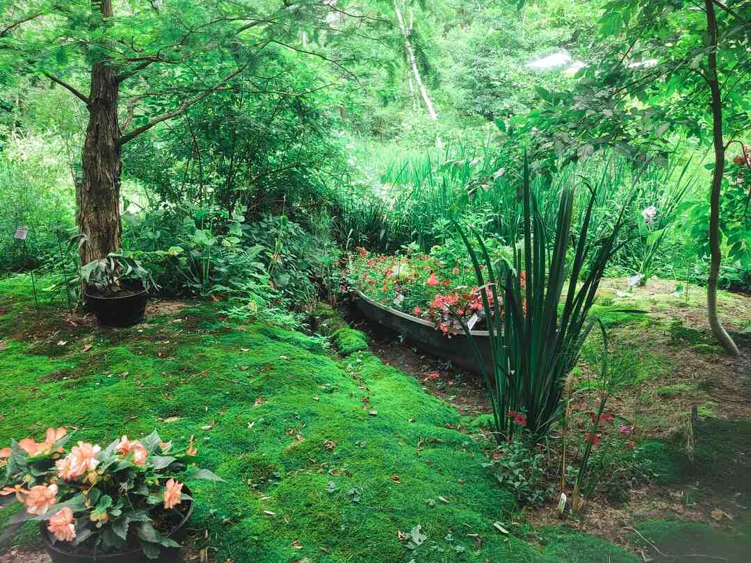 Comment faire un jardin potager sur une terrasse ? | Douglas-Piscine